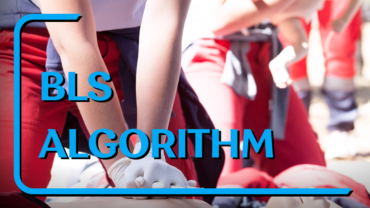 BLS Algorithm: Your Guide to Basic Life Support Steps